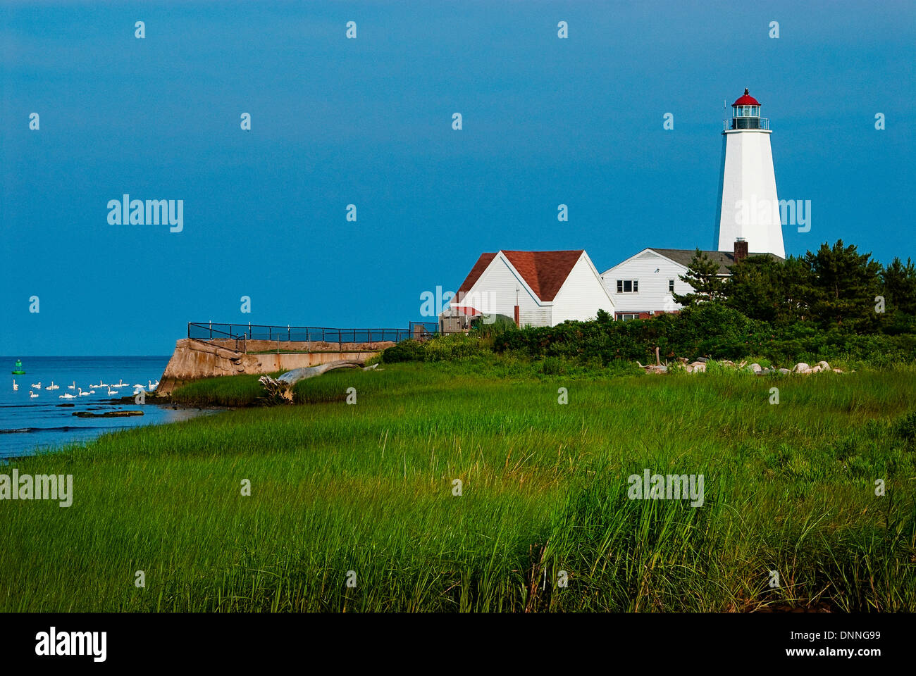 Lynde Point lighthouse surrounded by marsh or seagrass on a summer day ...