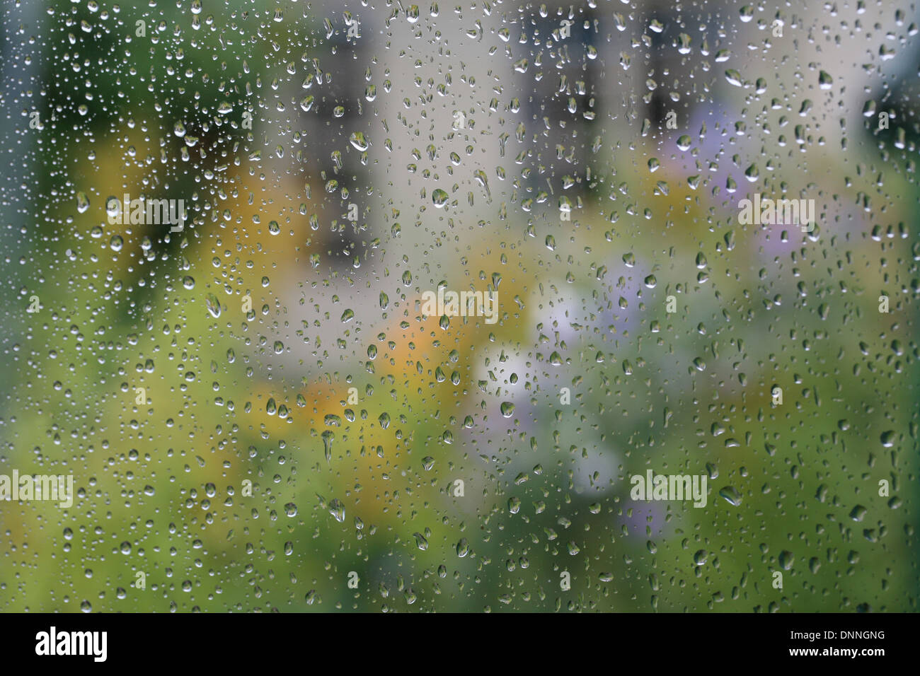 raindrops on a window Stock Photo - Alamy