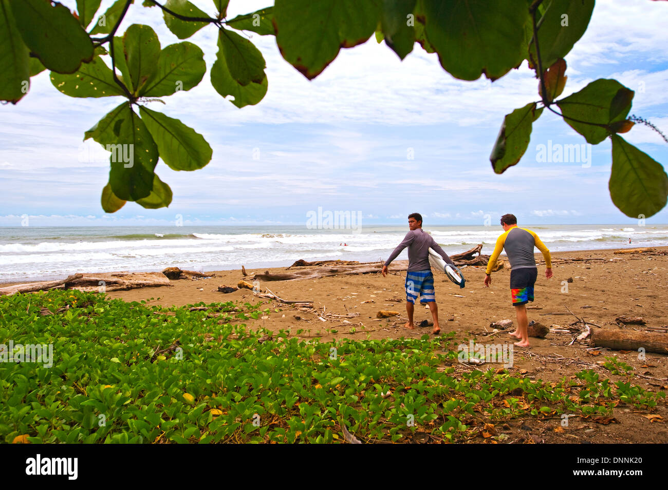 Surfing on the beaches of Dominical, Costa Rica Stock Photo - Alamy