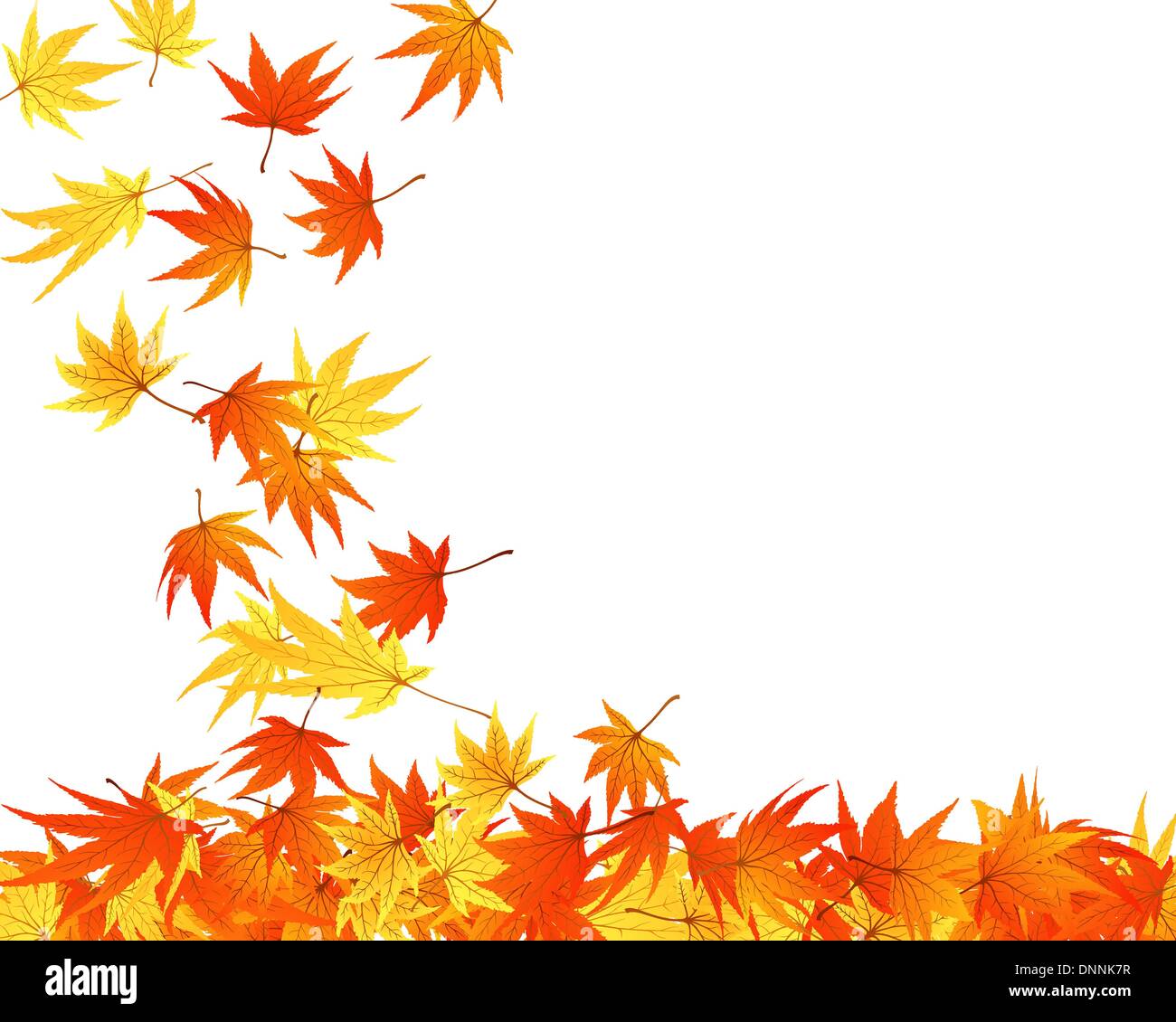 Twisted row of autumn maples leaves. Vector illustration Stock Vector ...