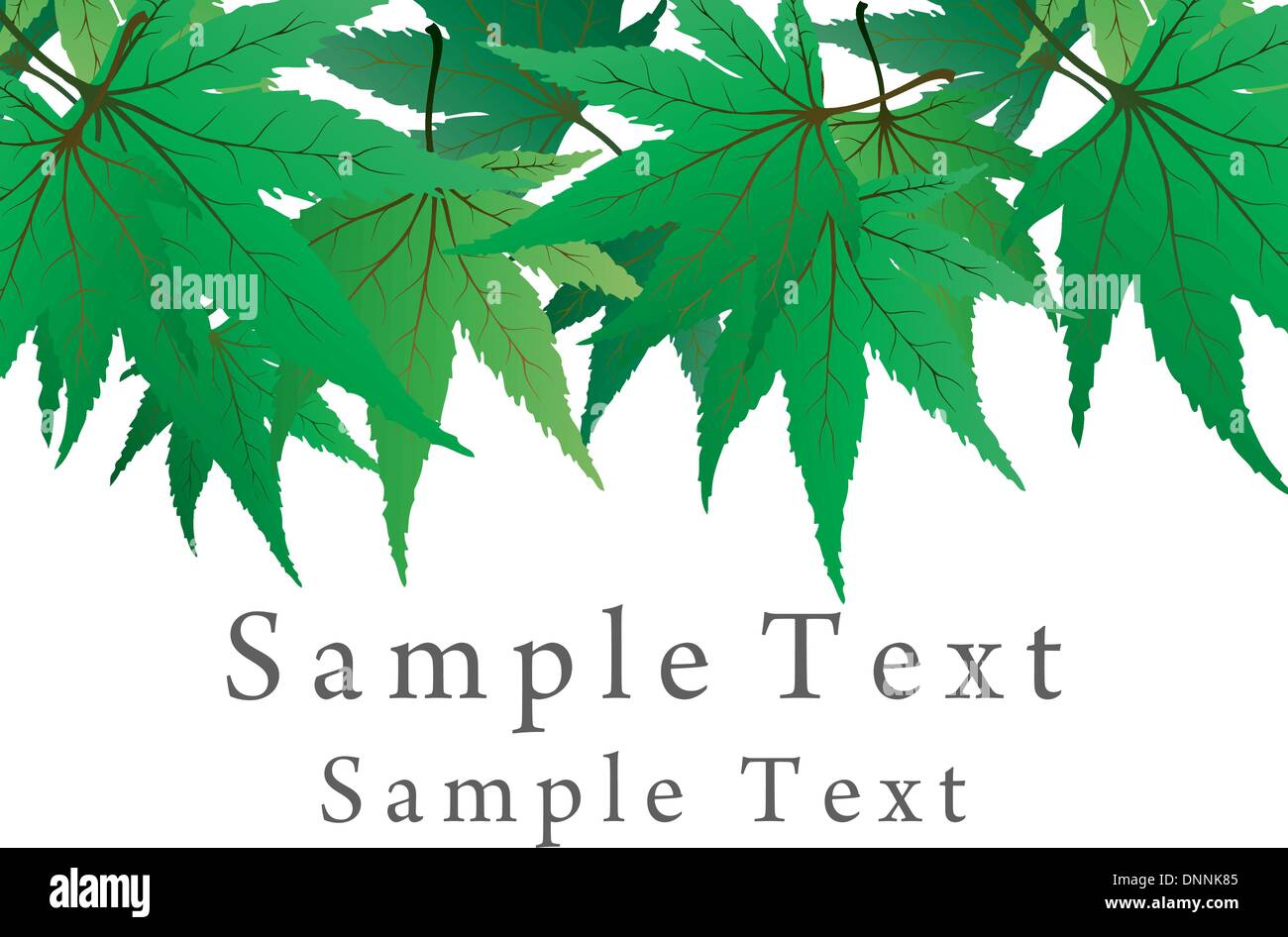 Background frame from maple leaves. Vector illustration Stock Vector ...