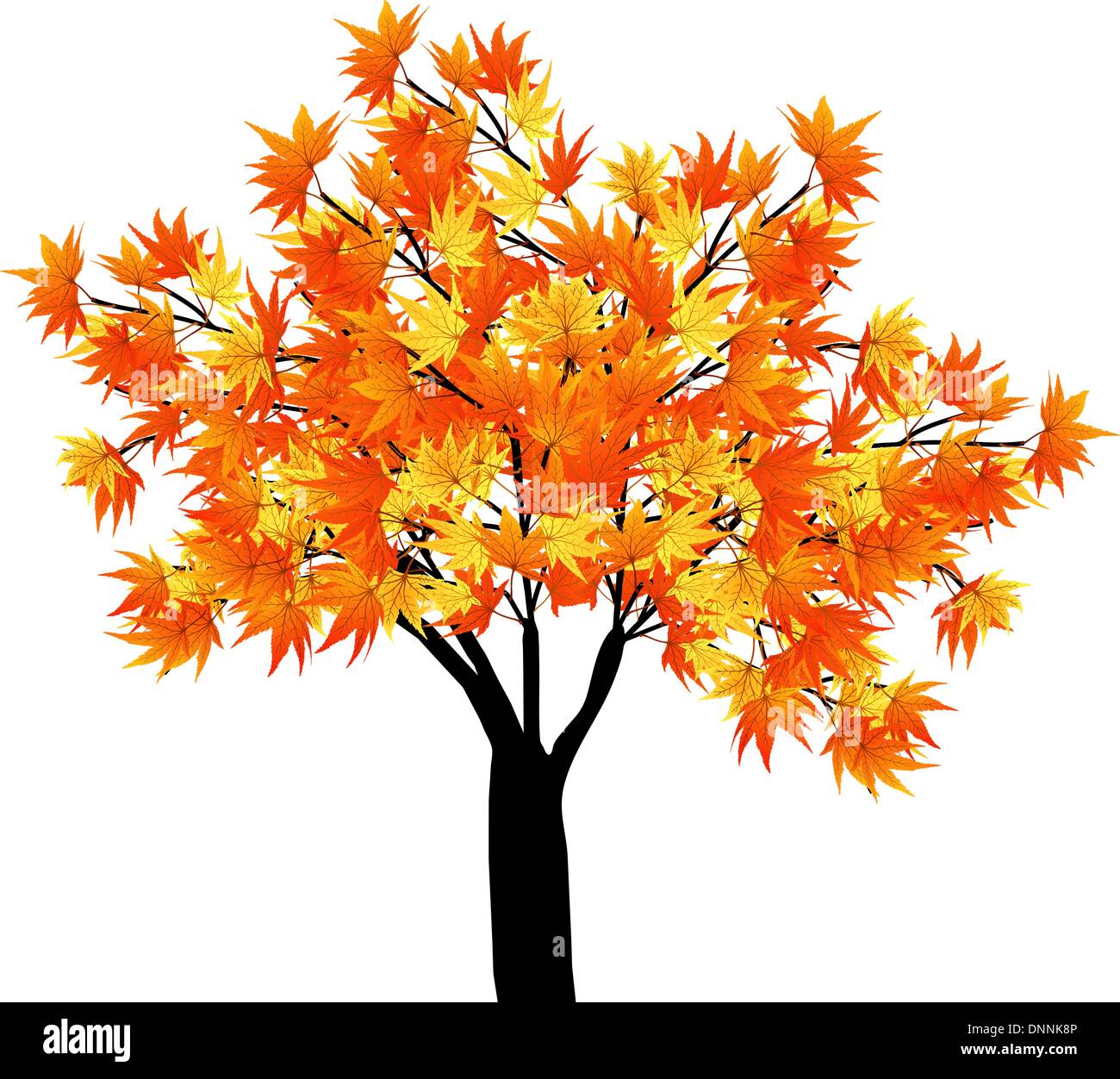 Pattern of autumn maples leaves on tree. Vector illustration Stock ...