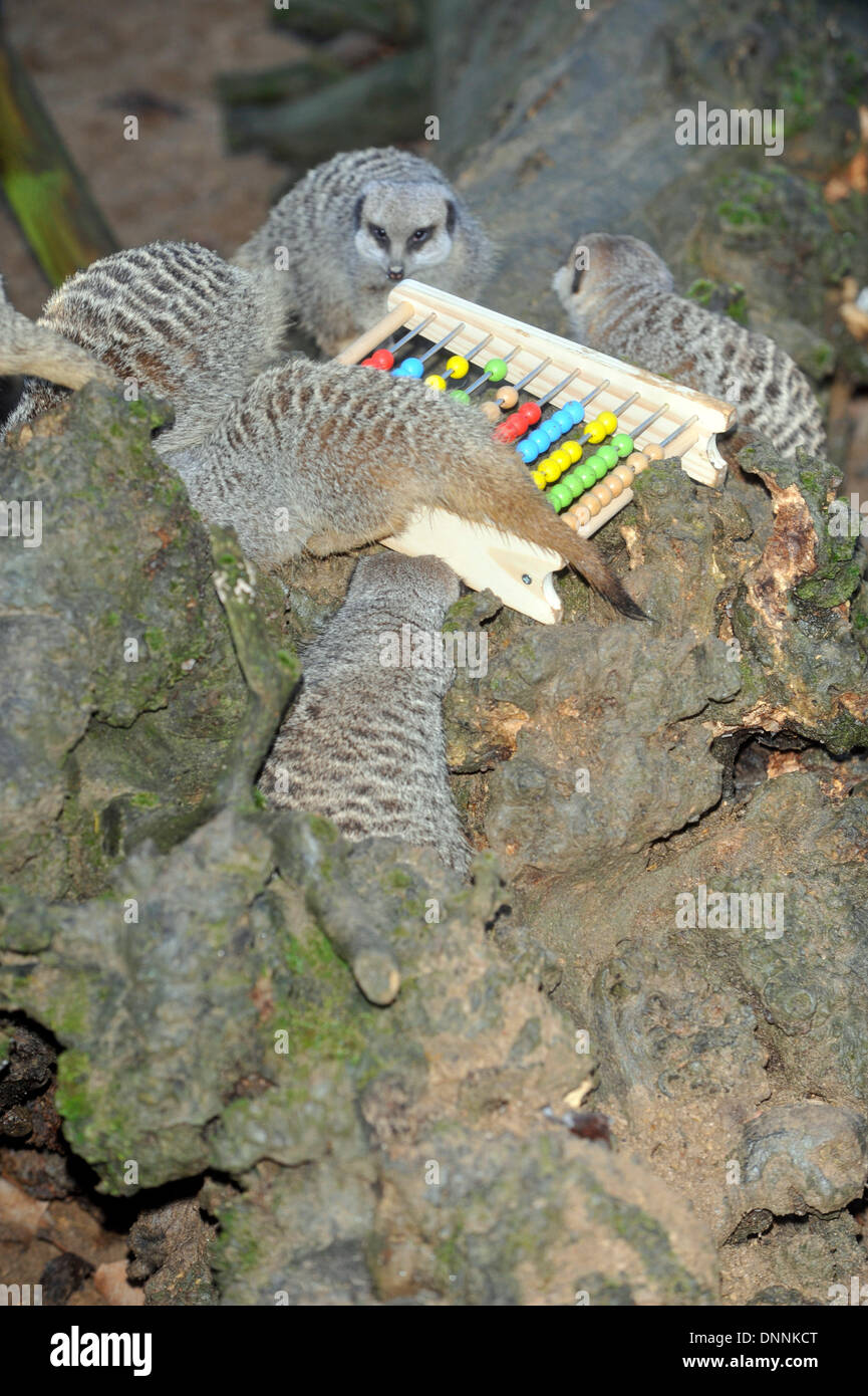 London zoo animal count hi-res stock photography and images - Alamy