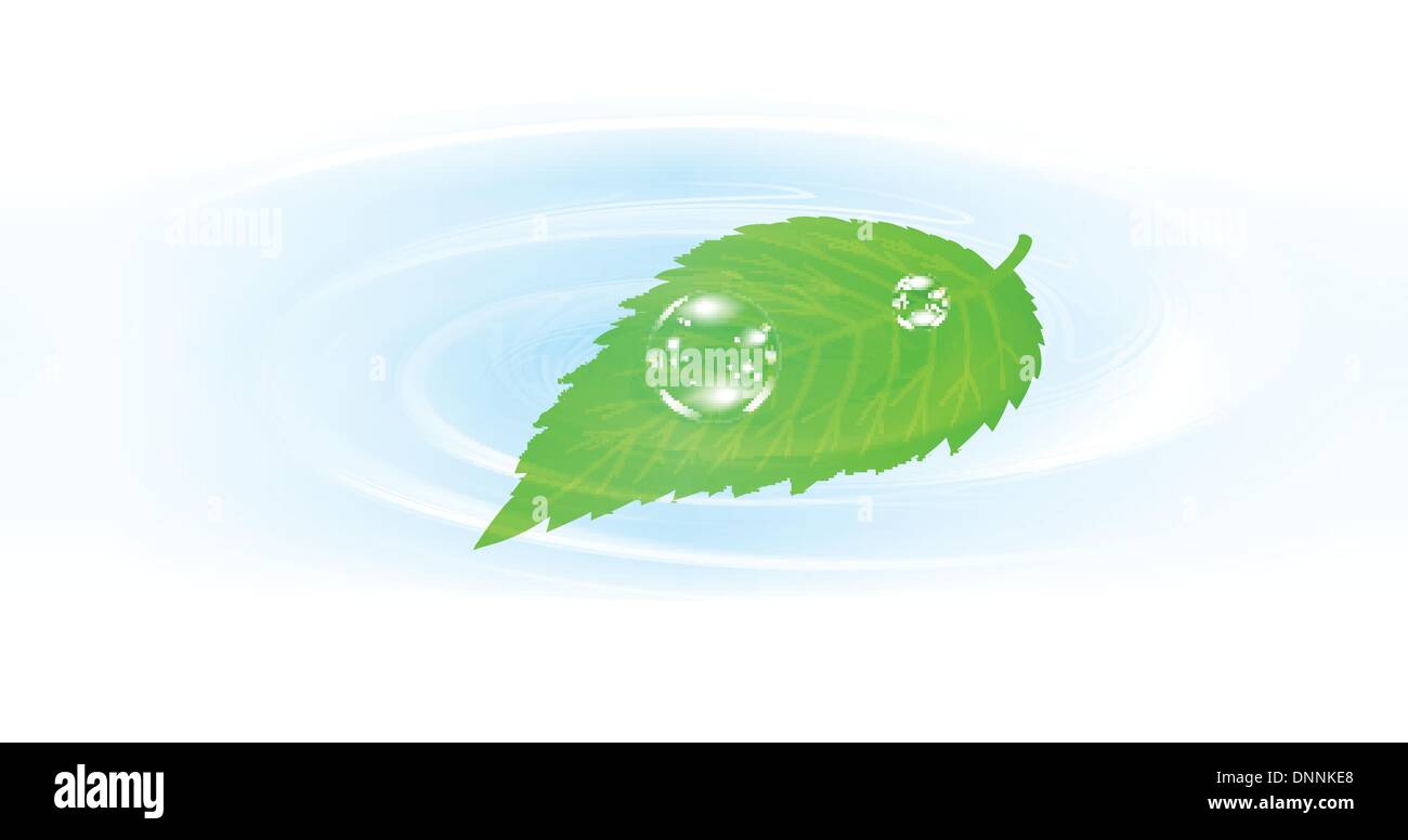 Water flowing over leaf Stock Vector Images - Alamy