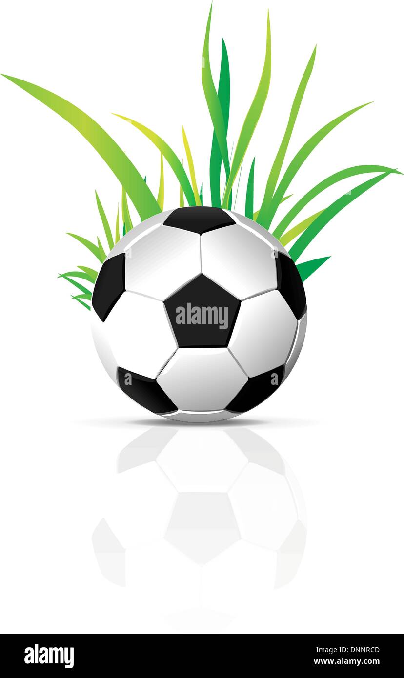 vector soccer ball with grass element isolated on white background ...