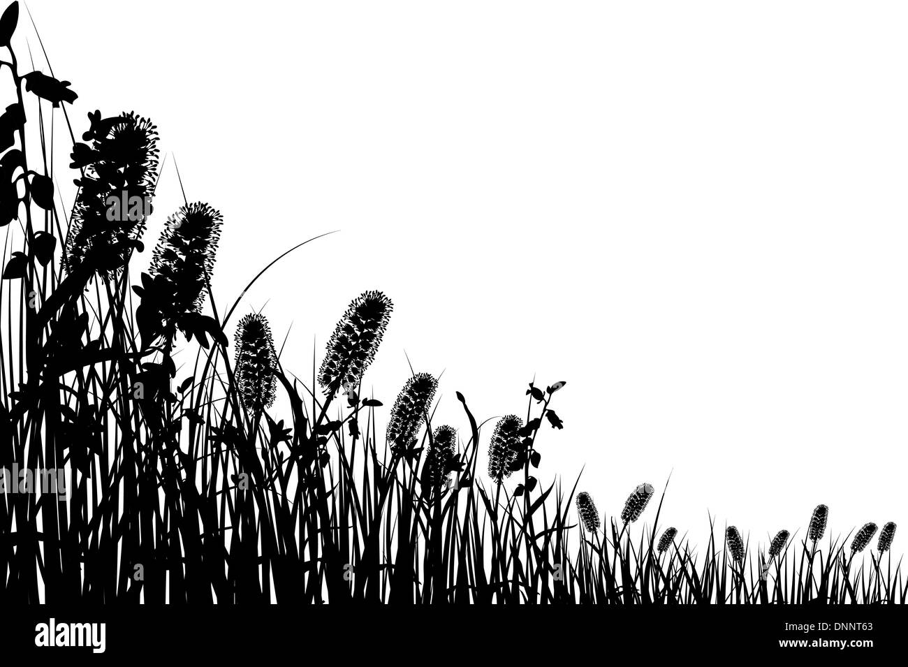 Vector grass silhouettes background for design use Stock Vector Image ...