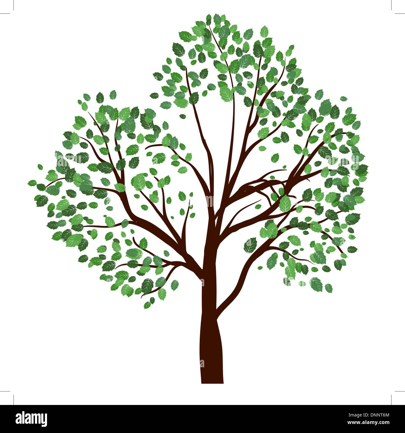 Summer tree with green leaves. EPS 10 vector illustration Stock Vector ...