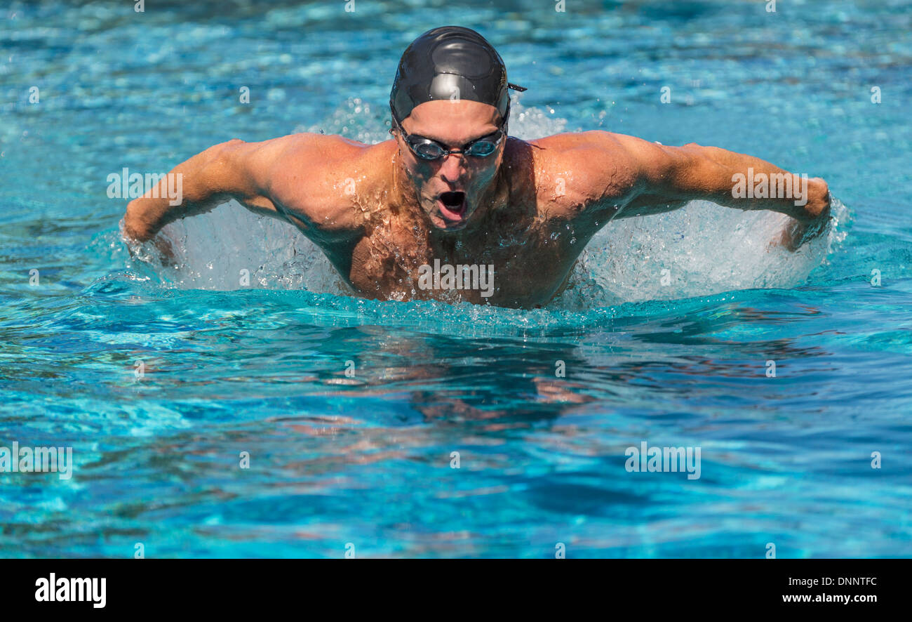Athletic man swimming Stock Photo - Alamy