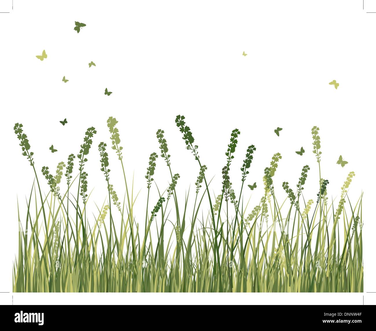Summer meadow background. EPS 10 vector illustration with transparency ...