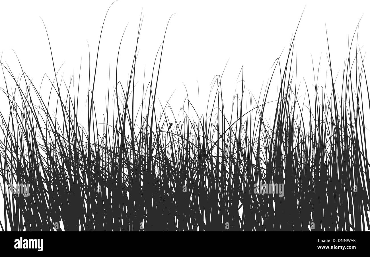 Vector illustration grass background for design use Stock Vector Image ...