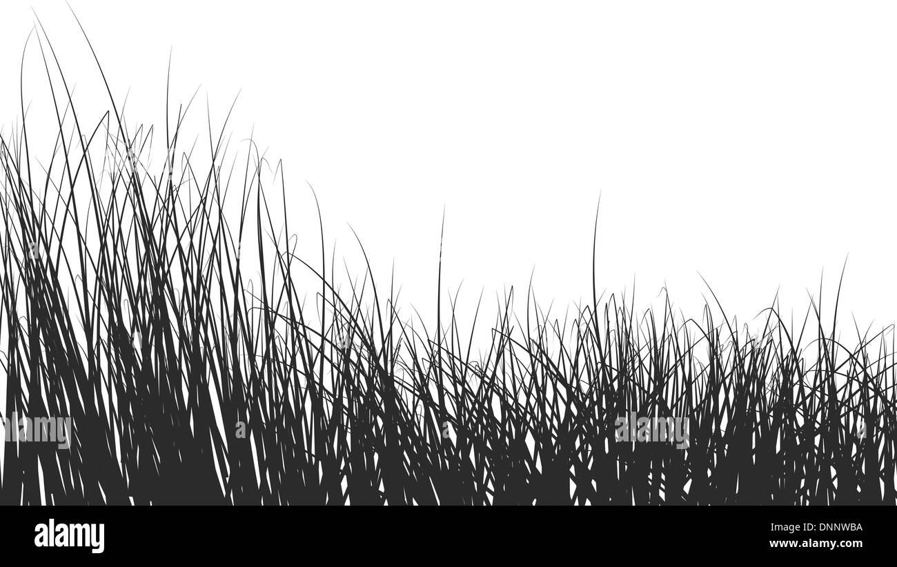 Vector illustration grass background for design use Stock Vector Image ...