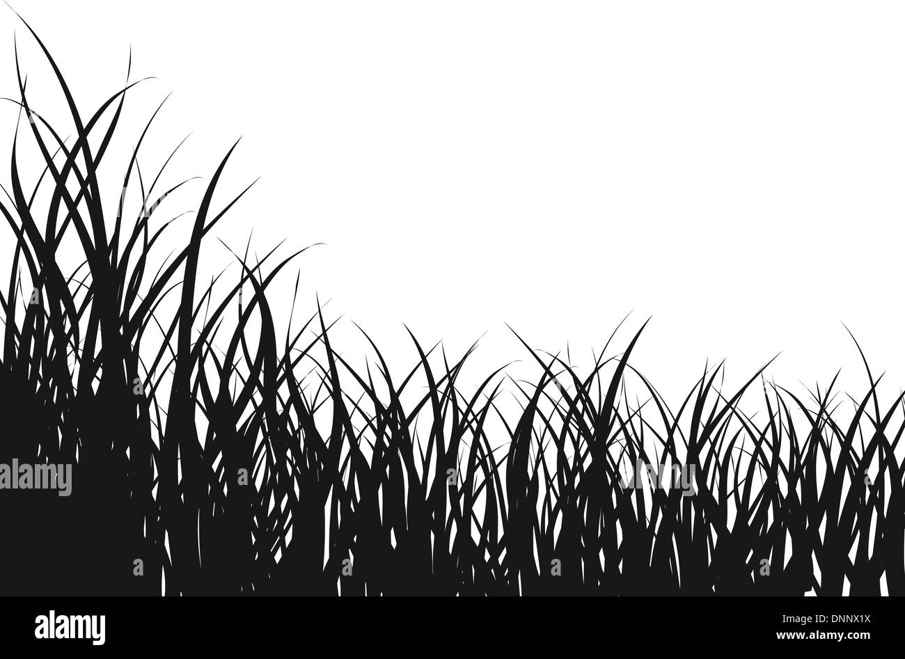 Vector illustration grass background for design usage Stock Vector ...