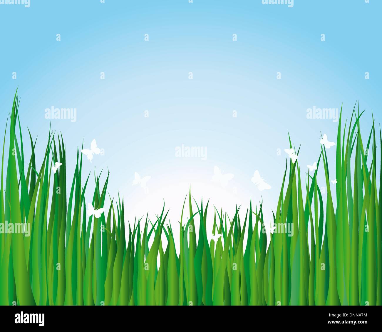 Vector illustration grass background for design usage Stock Vector ...