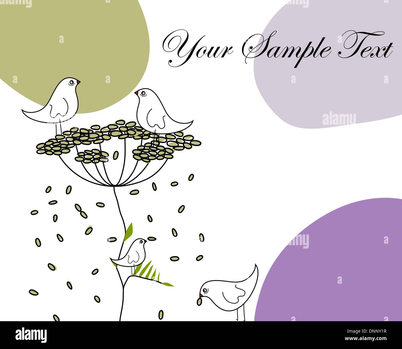 Birthday cards birds Stock Vector Images - Alamy