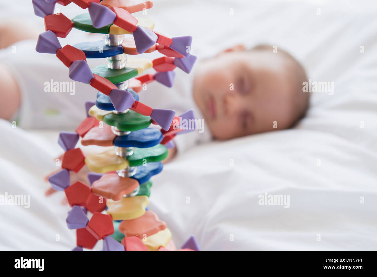 Dna model hi-res stock photography and images - Alamy