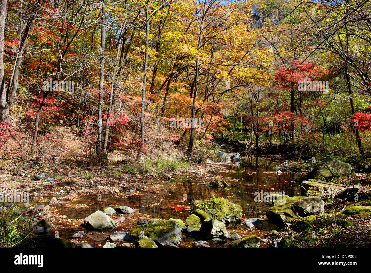 Benxi china liaoning hi-res stock photography and images - Alamy