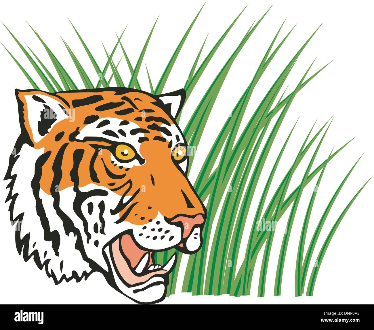 Tiger with grass Stock Vector Images - Alamy