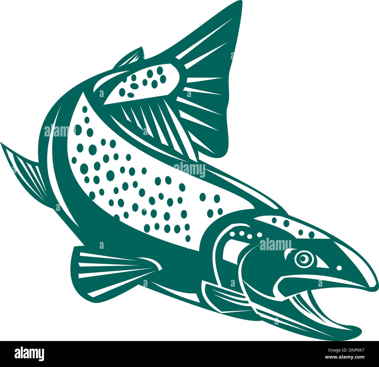illustration of a trout fish jumping done in retro style on isolated ...