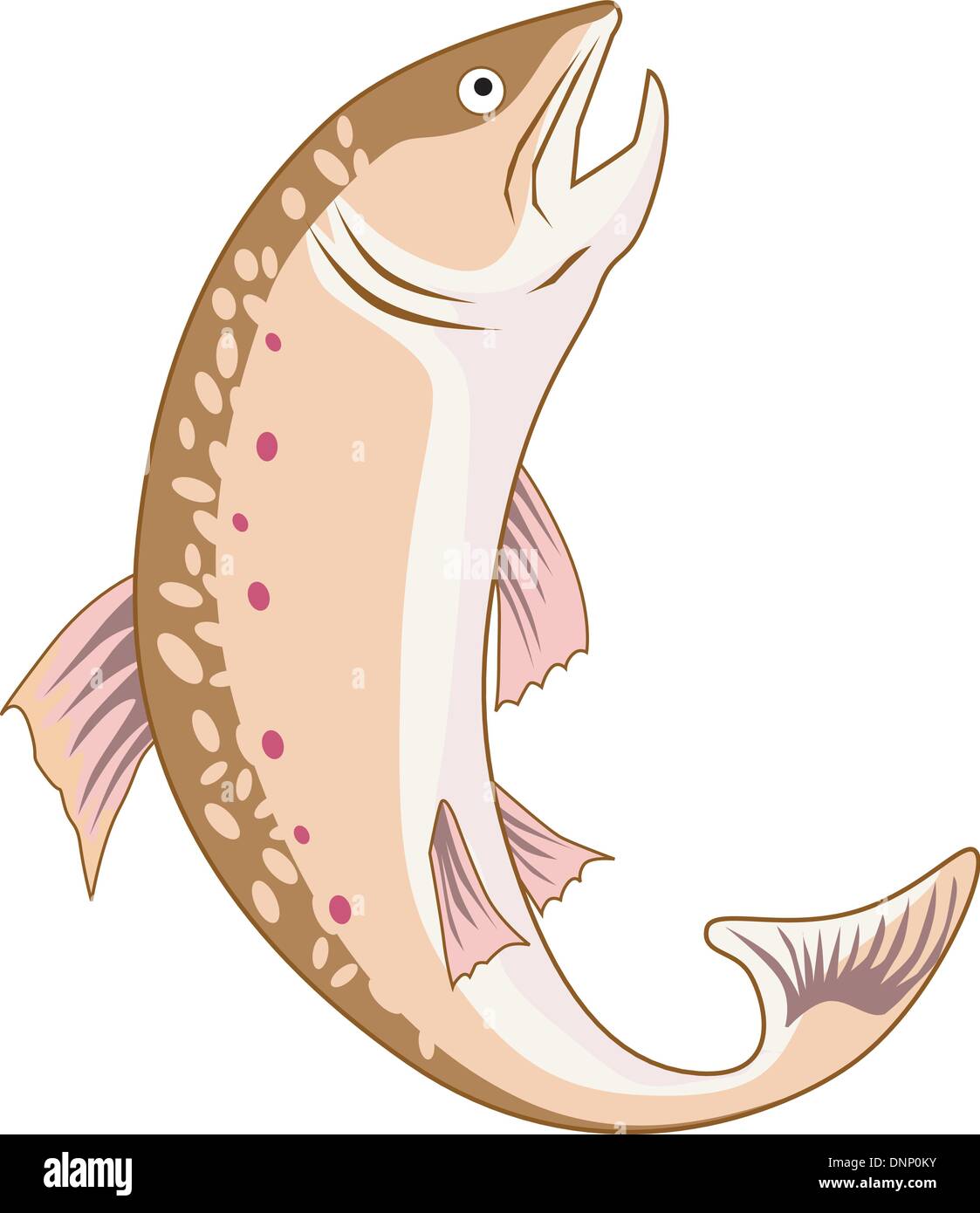 Illustration of a trout fish done in retro style Stock Vector Image ...