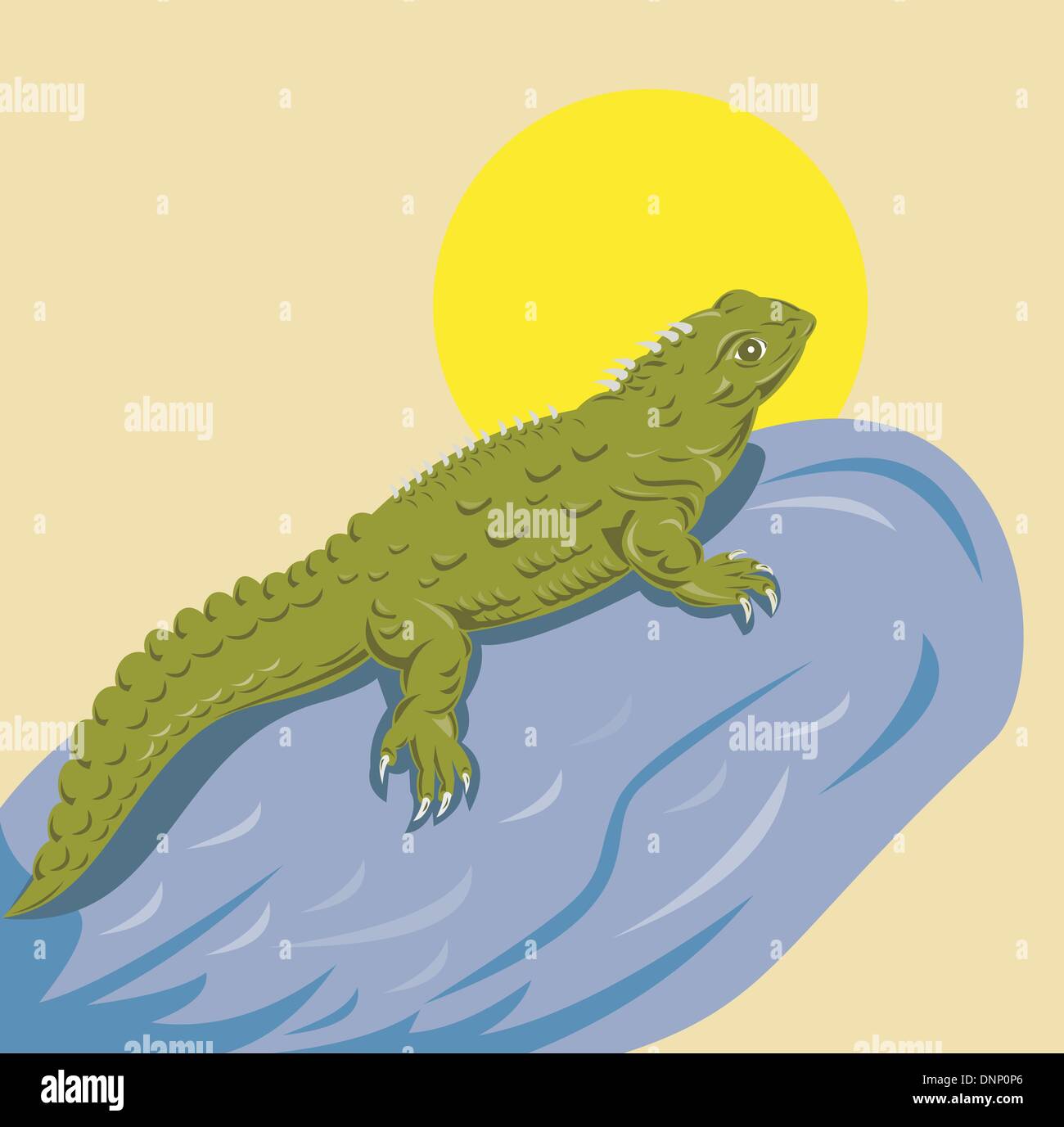 Tuatara Stock Vector Images - Alamy