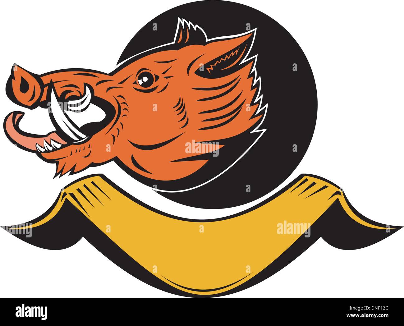 illustration of a wild pig boar razorback on isolated background done ...