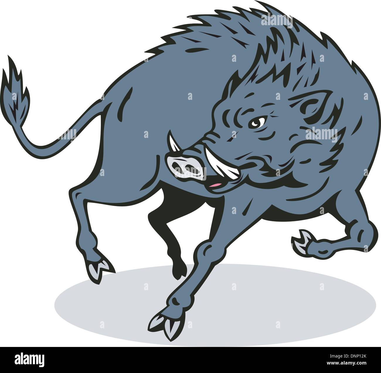 Razorback boar hi-res stock photography and images - Alamy