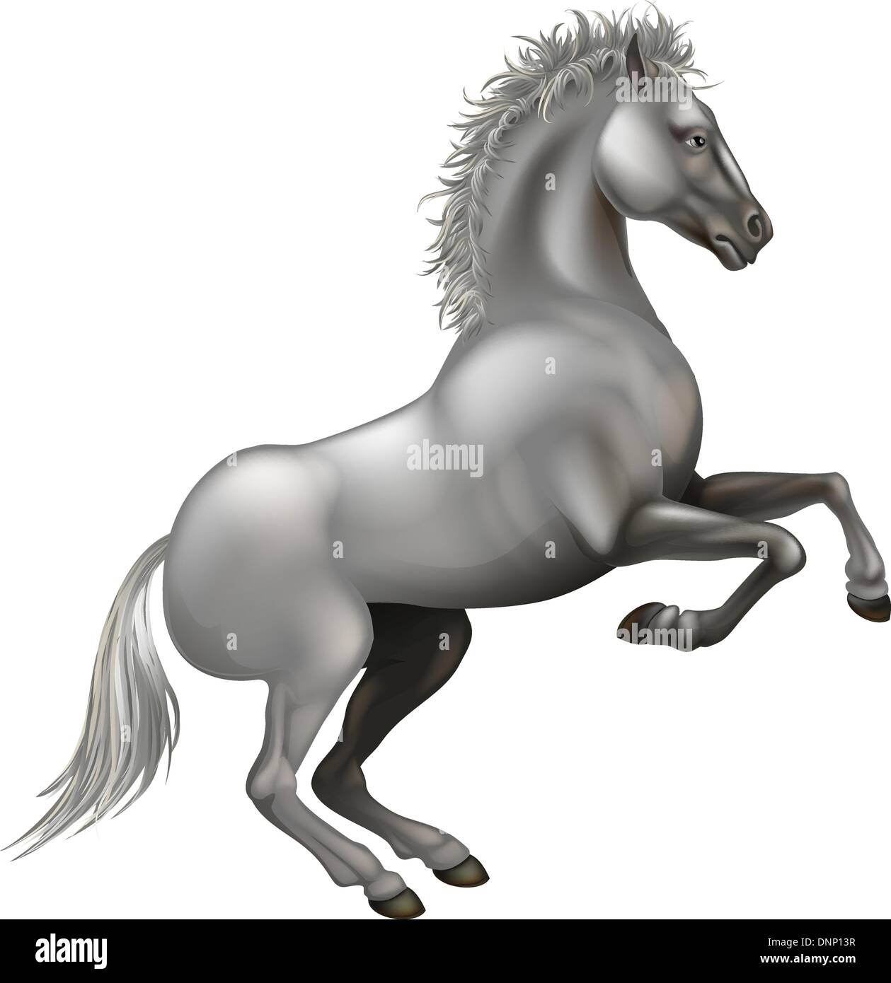 Illustration of a powerful white horse rearing on its hind legs Stock ...