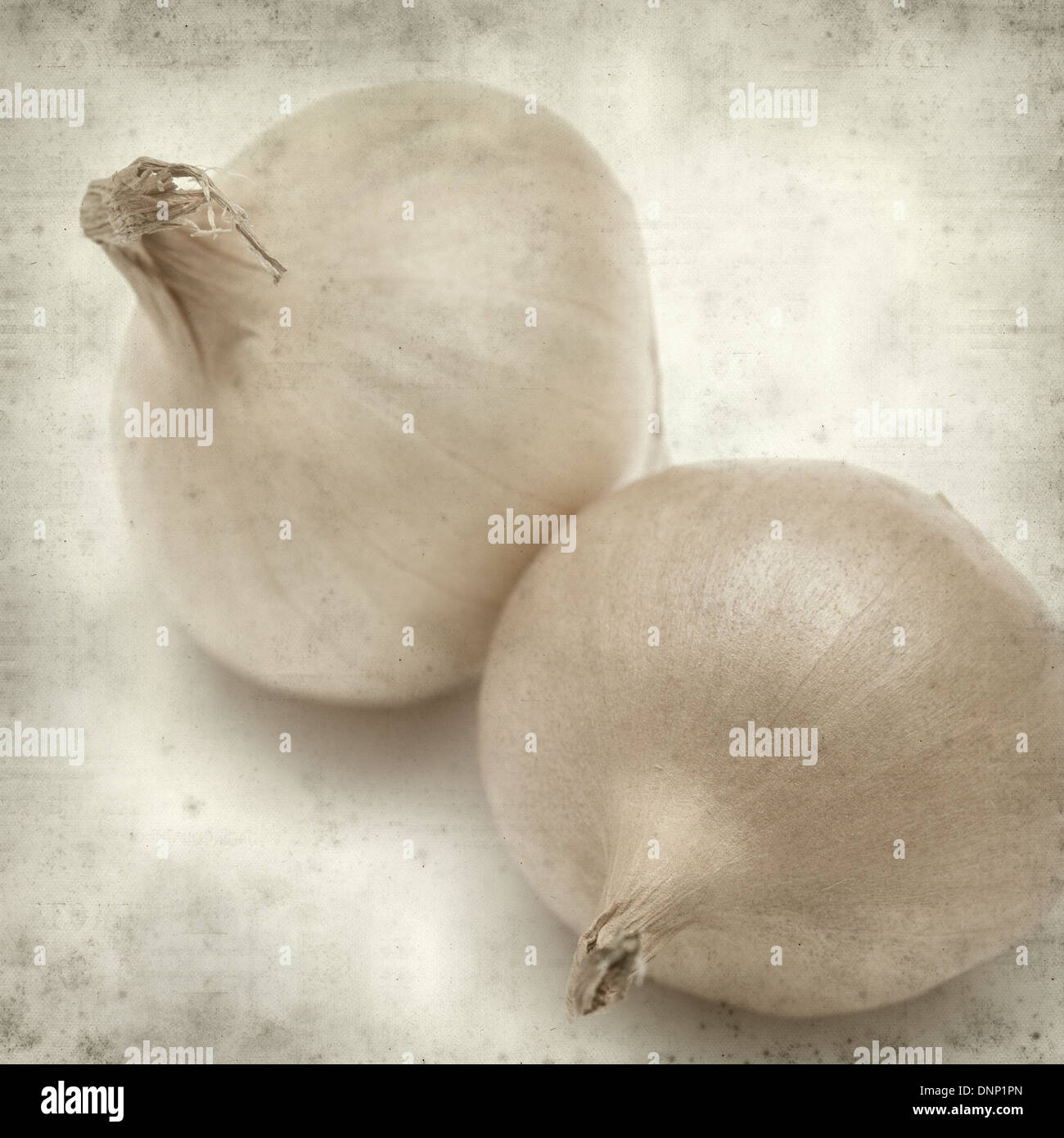 textured old paper background with mini onions Stock Photo - Alamy
