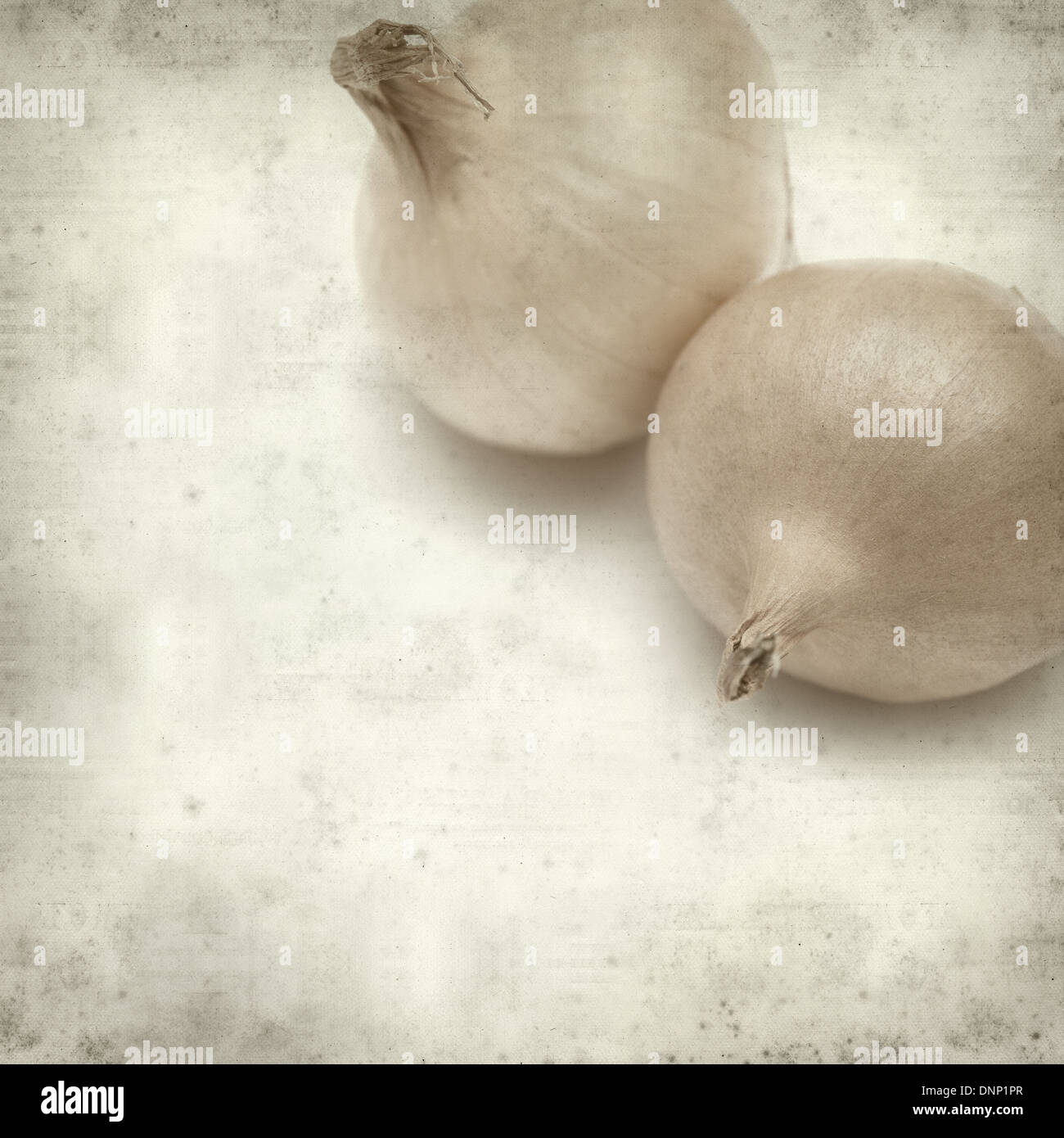 textured old paper background with mini onions Stock Photo - Alamy