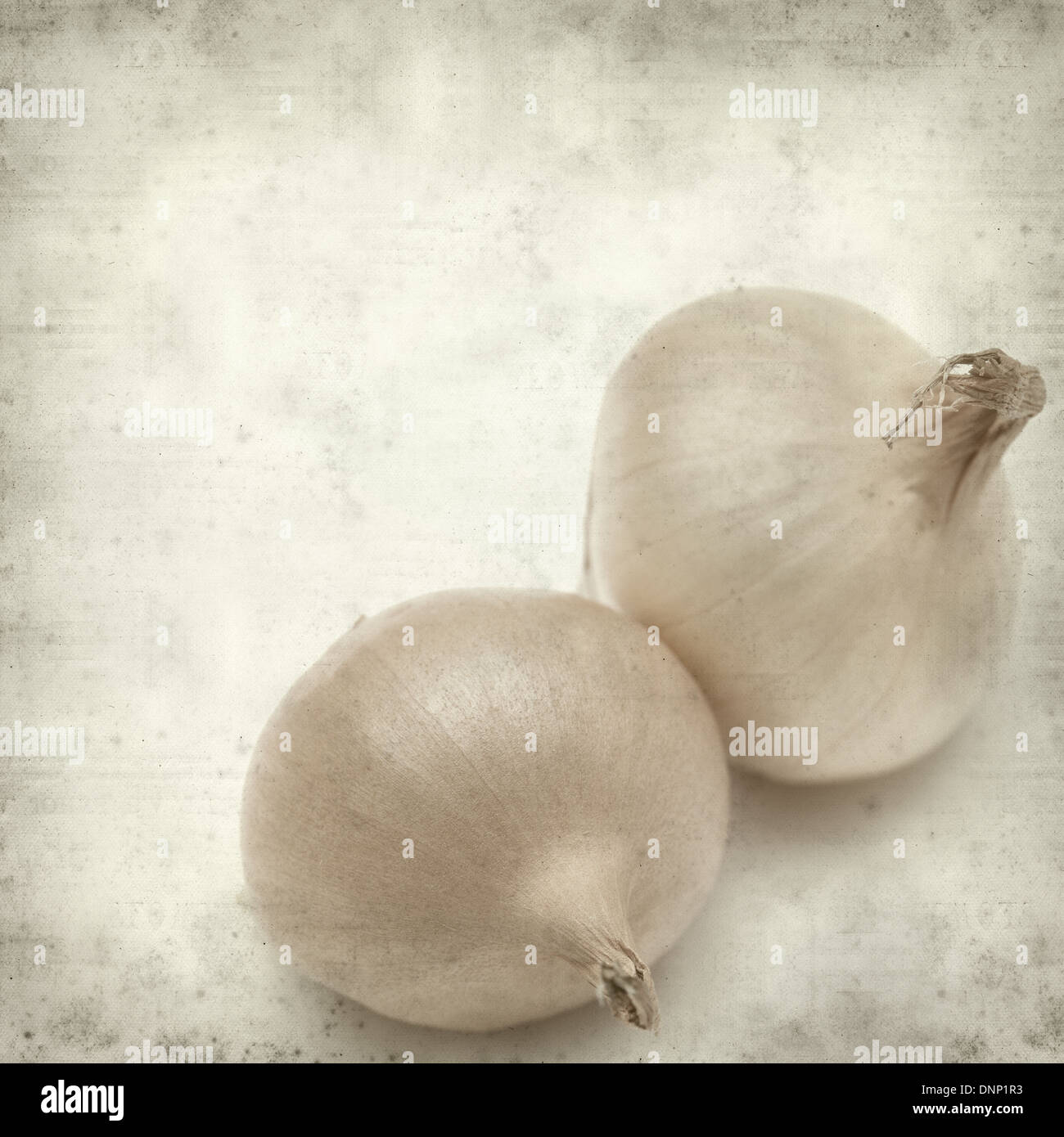textured old paper background with mini onions Stock Photo - Alamy