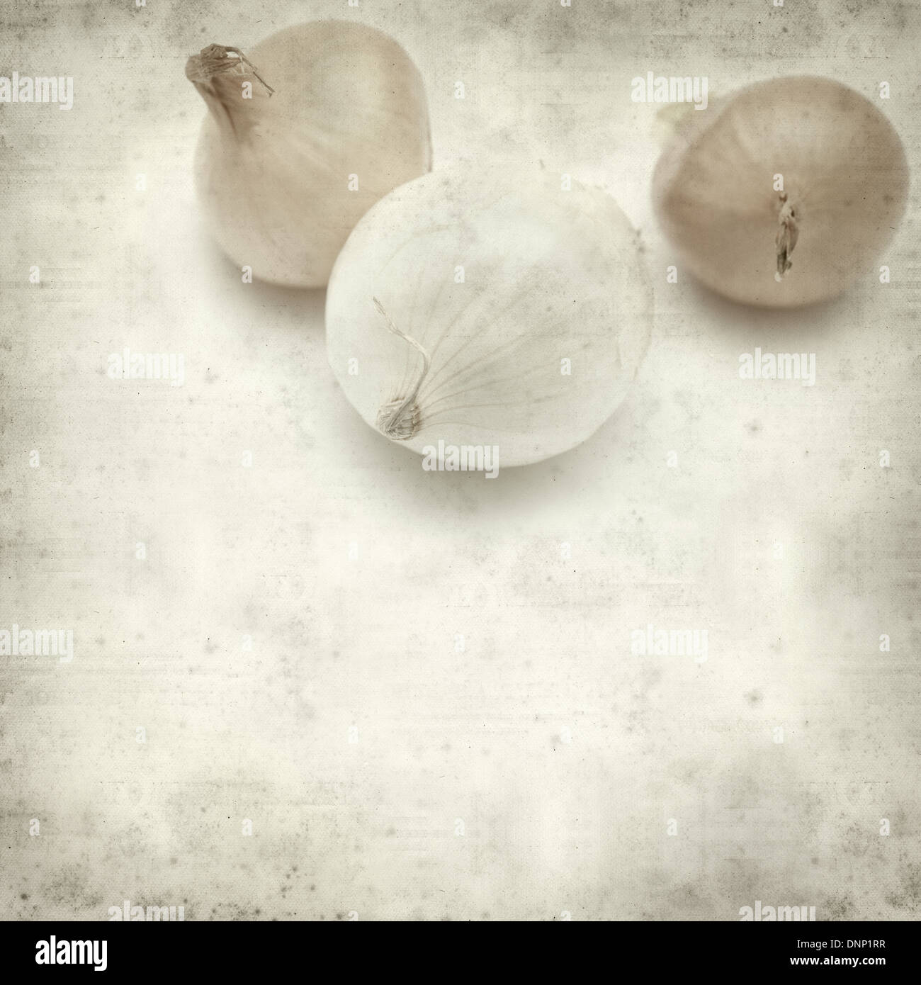 textured old paper background with mini onions Stock Photo - Alamy