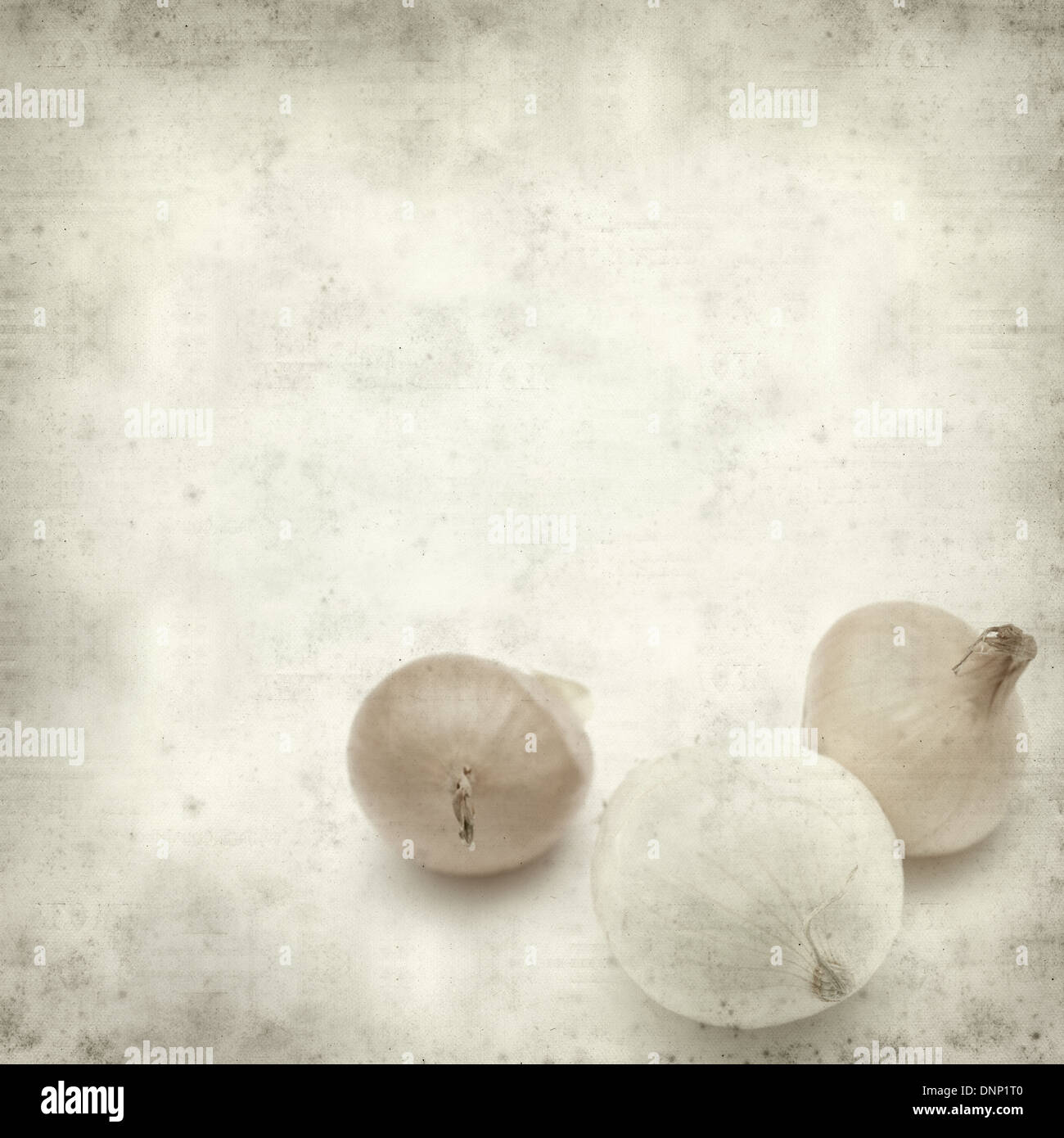 textured old paper background with mini onions Stock Photo - Alamy