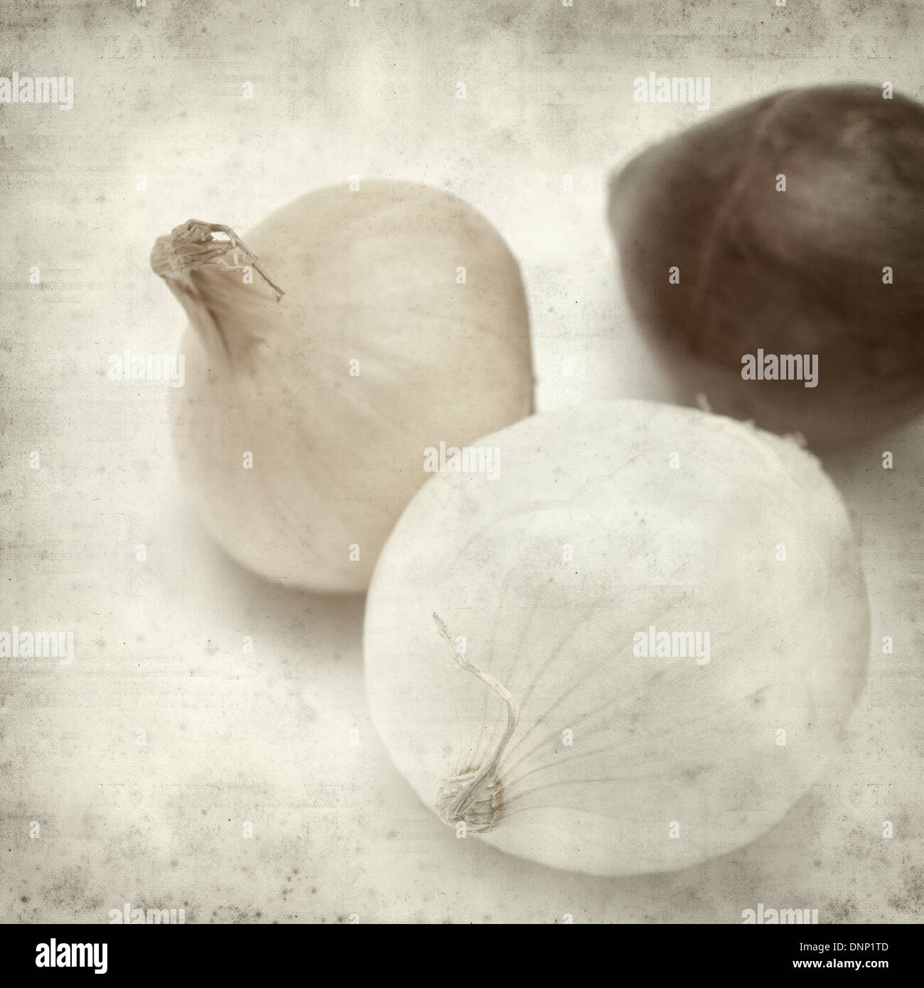 textured old paper background with mini onions Stock Photo - Alamy