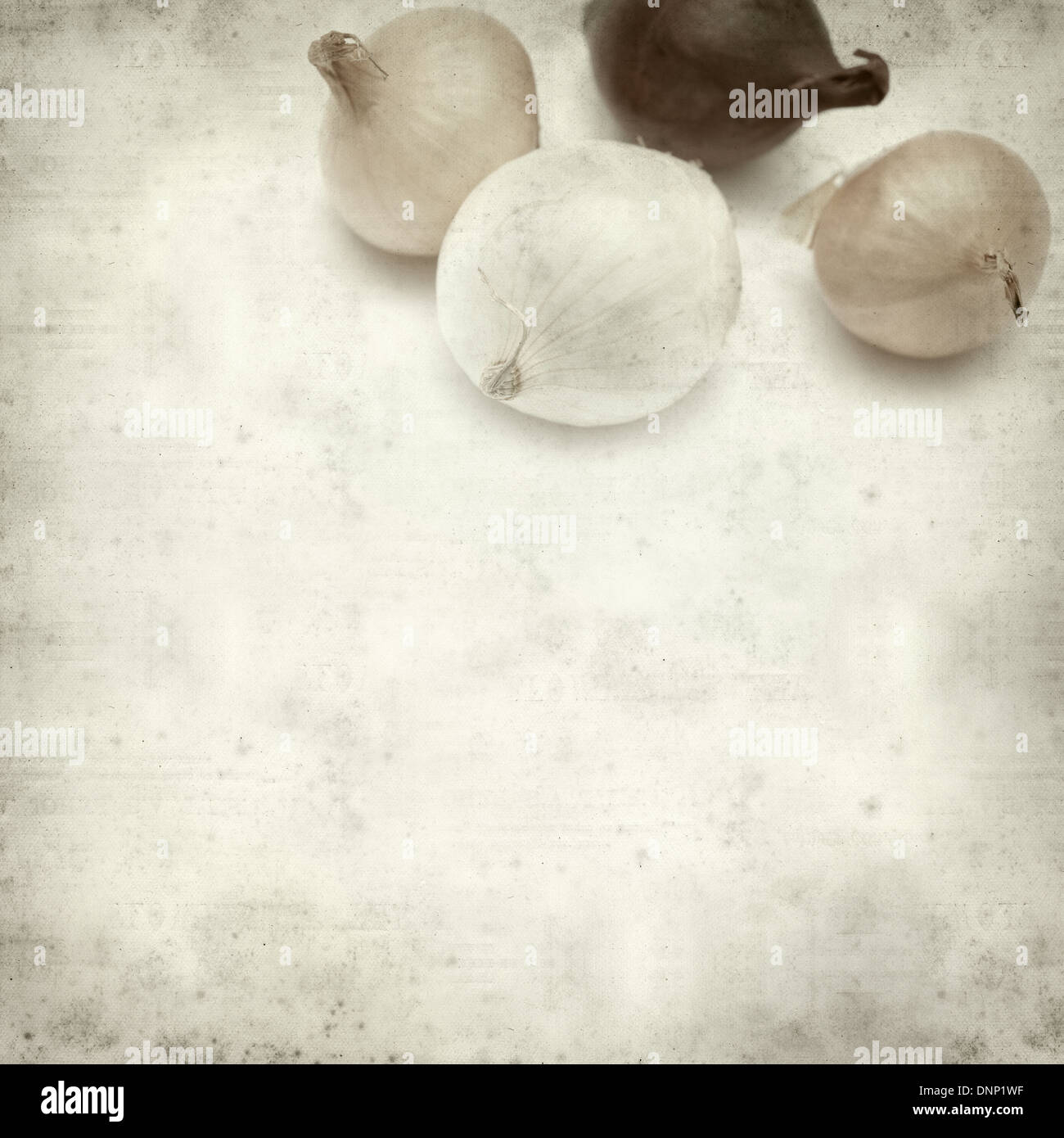 textured old paper background with mini onions Stock Photo - Alamy