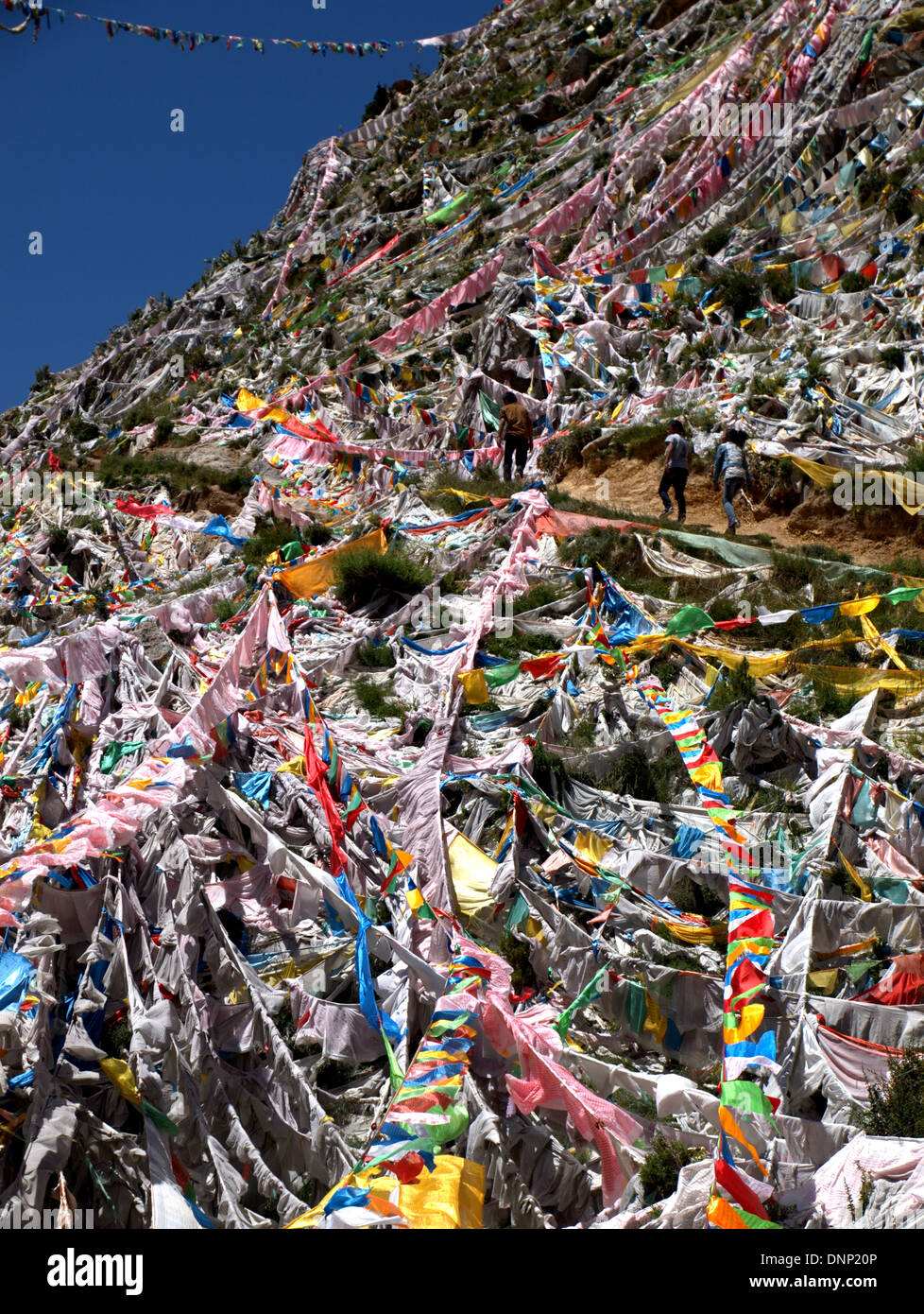 Tibet temple hi-res stock photography and images - Alamy