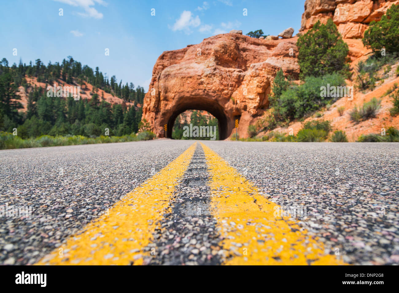 USA, Utah, Bryce Canyon, Road going under natural tunnel Stock Photo ...