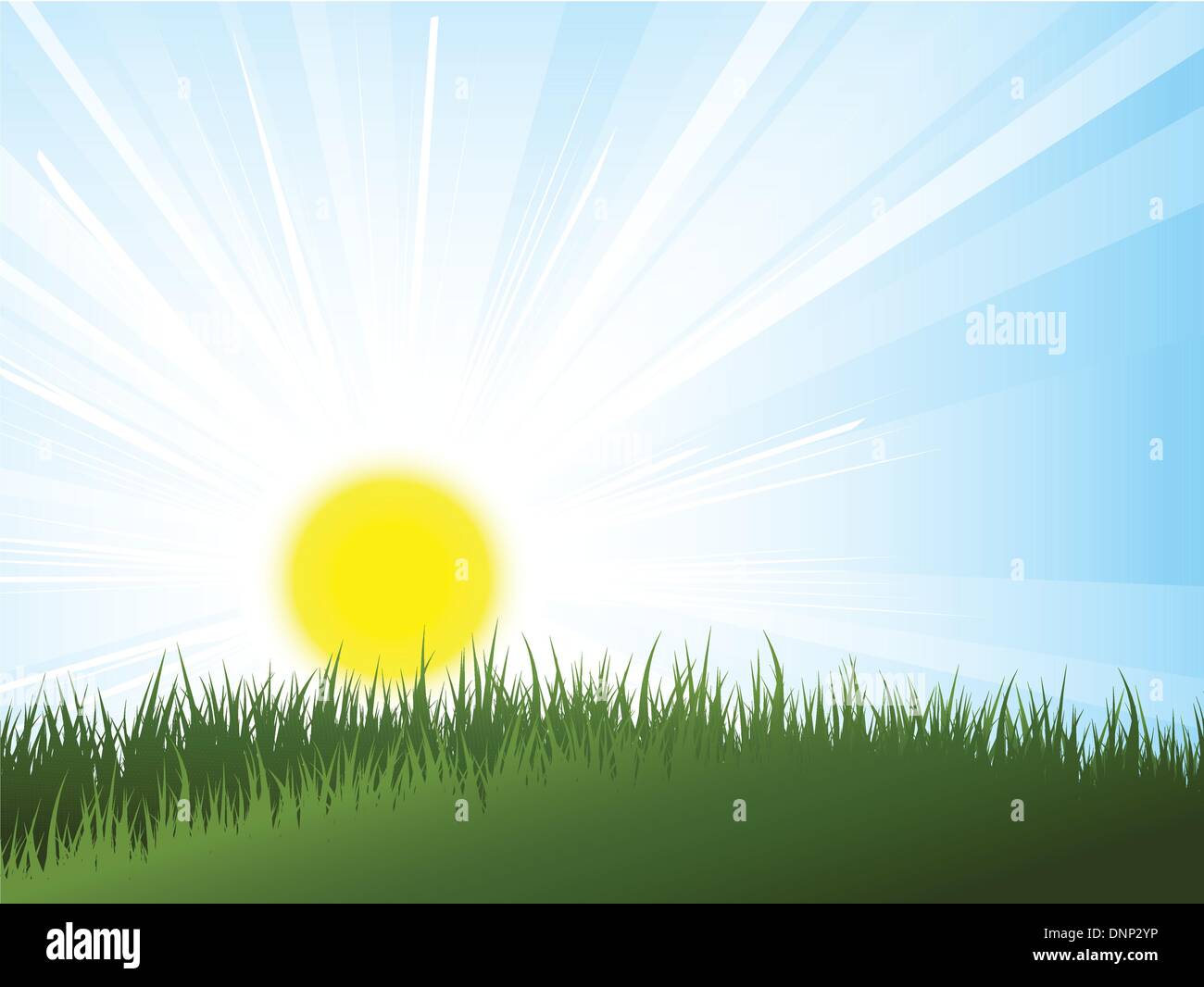 Sun rising over green grass hi-res stock photography and images - Alamy