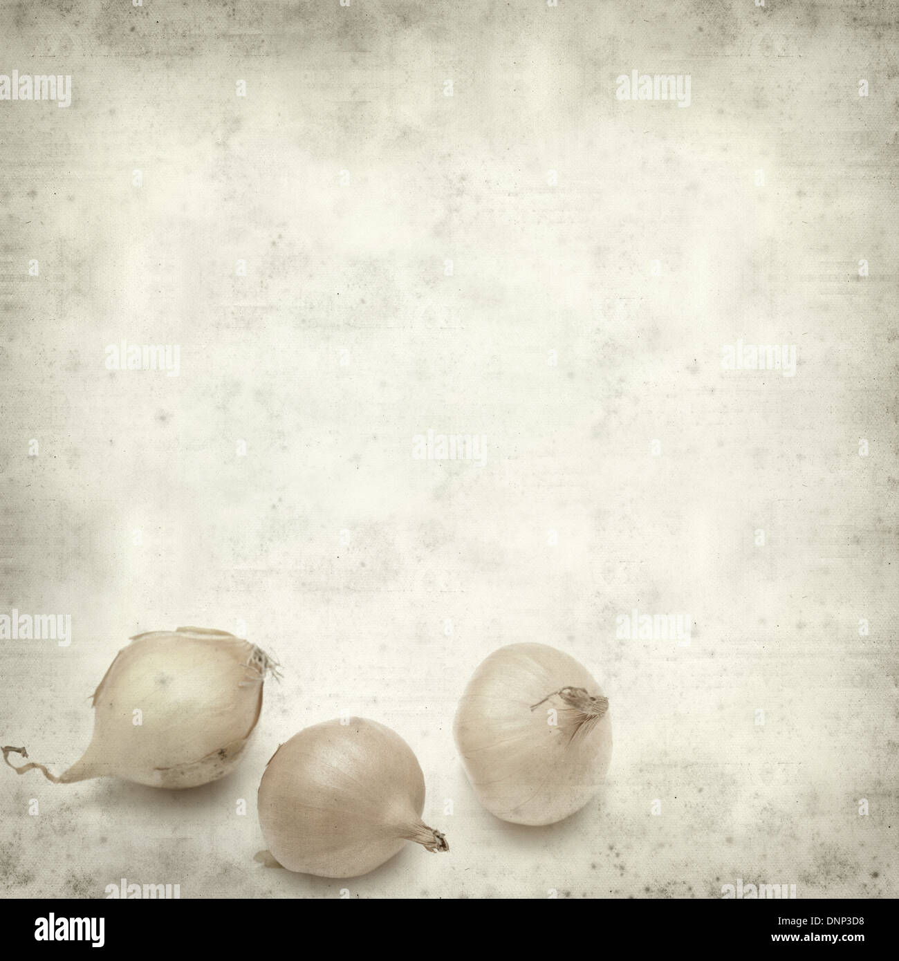 textured old paper background with mini onions Stock Photo - Alamy
