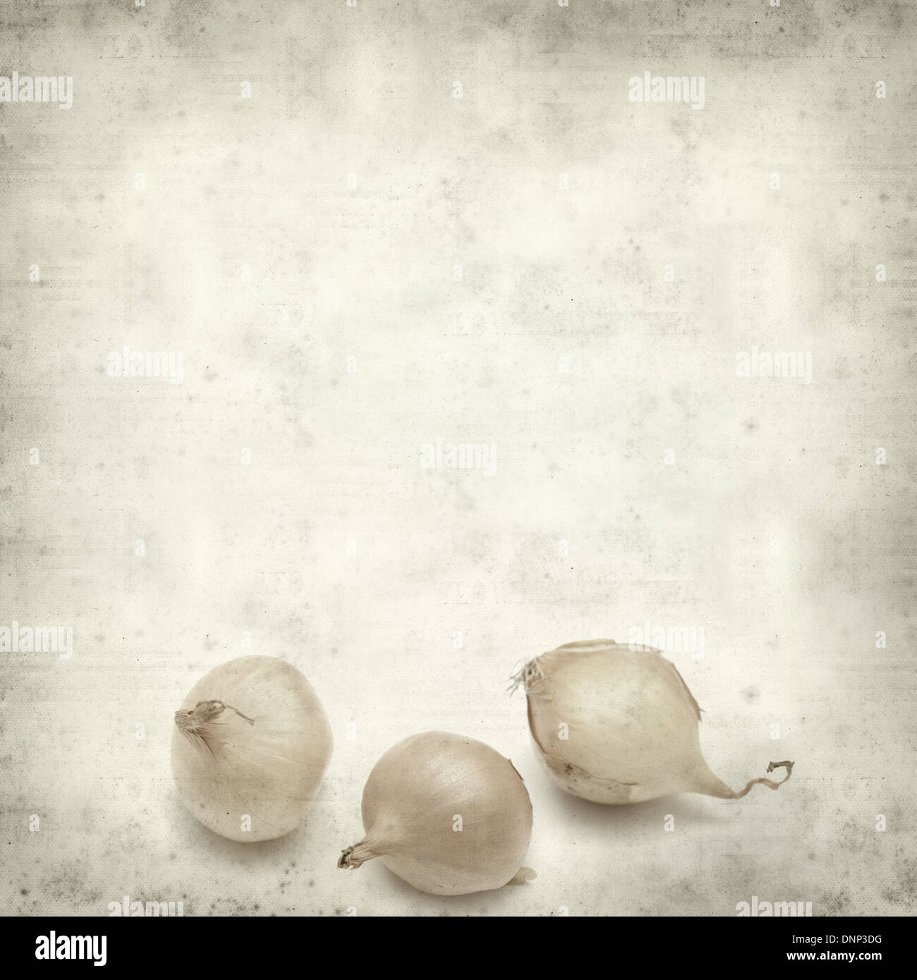 textured old paper background with mini onions Stock Photo - Alamy