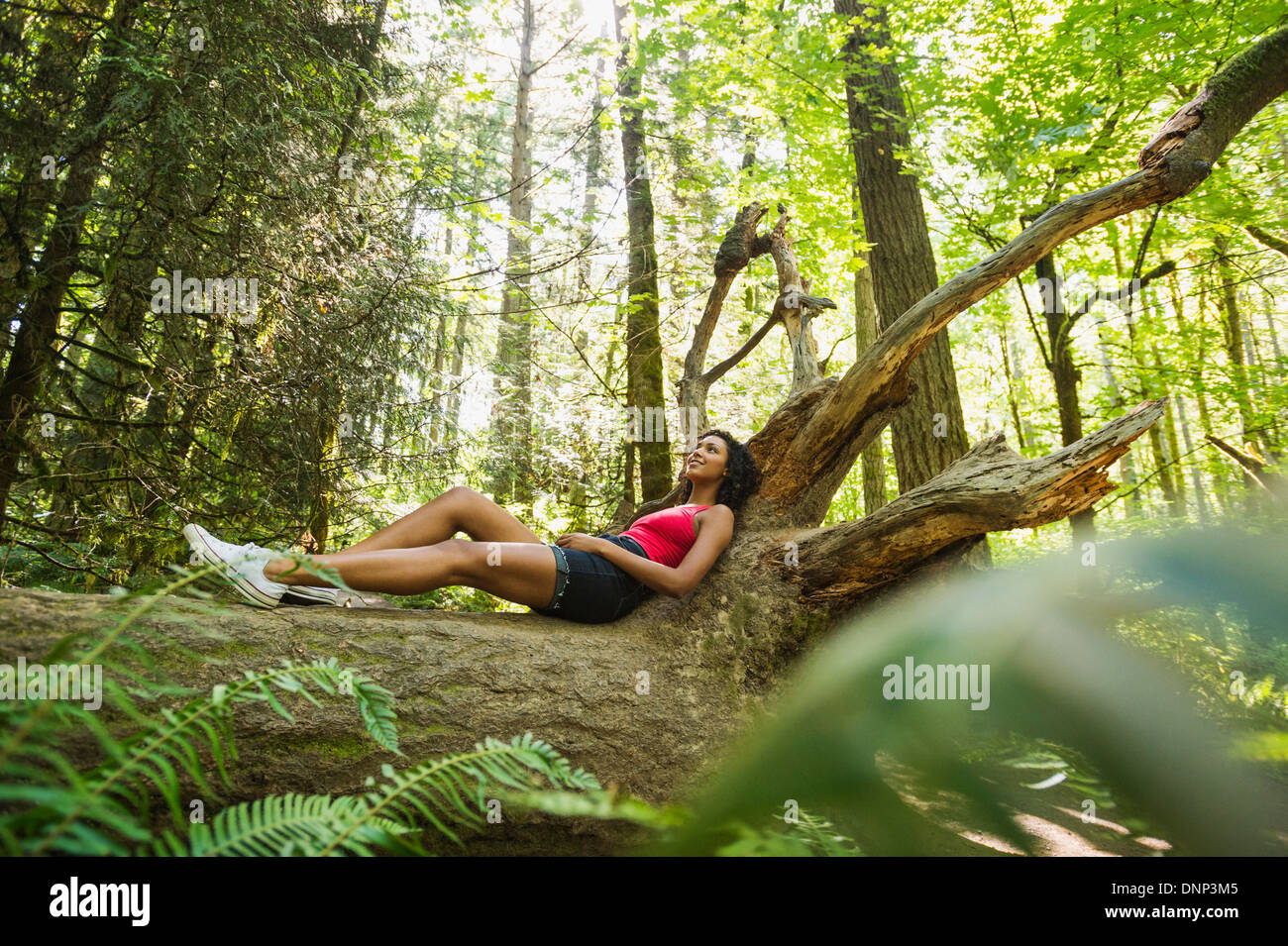 USA, Oregon, Portland, Young woman lying down on log in forest Stock ...