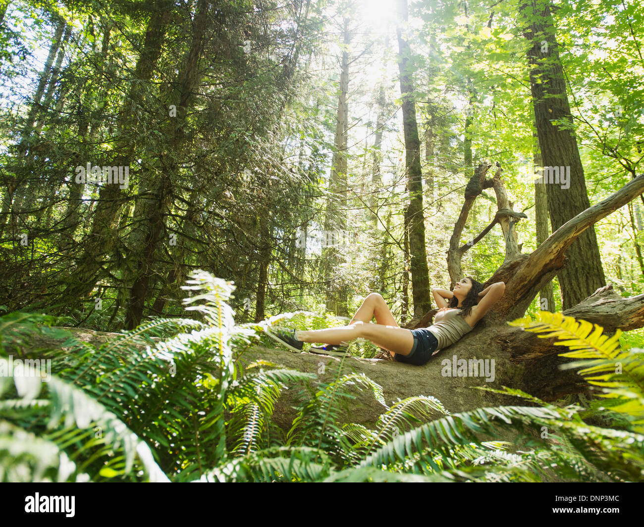 USA, Oregon, Portland, Young woman lying down on log Stock Photo - Alamy