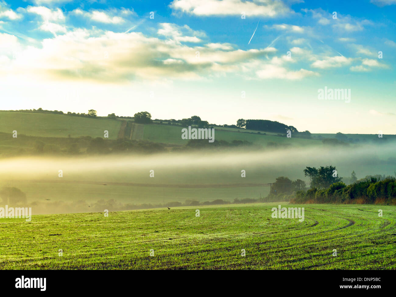 Burpham West Sussex High Resolution Stock Photography and Images - Alamy