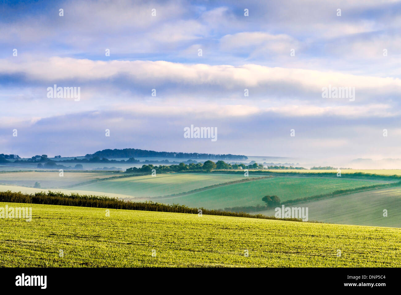 View countryside of Burpham in West Sussex, UK Stock Photo - Alamy