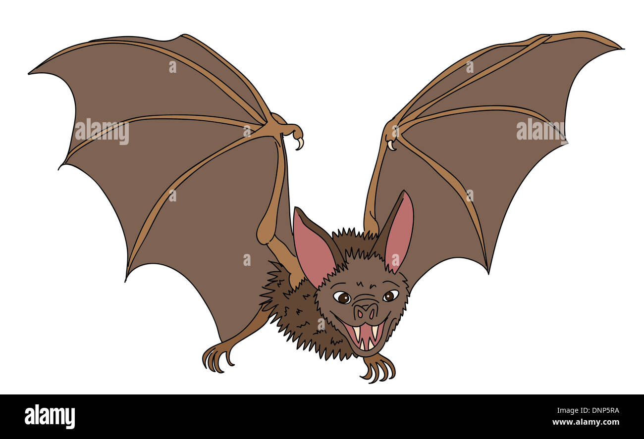 Scary bat flying hi-res stock photography and images - Alamy