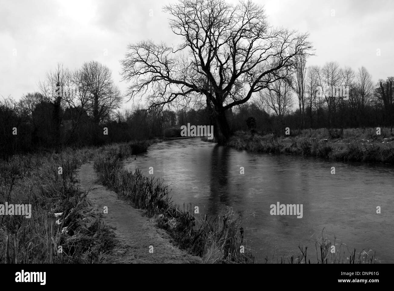 Chalk stream rivers hi-res stock photography and images - Alamy