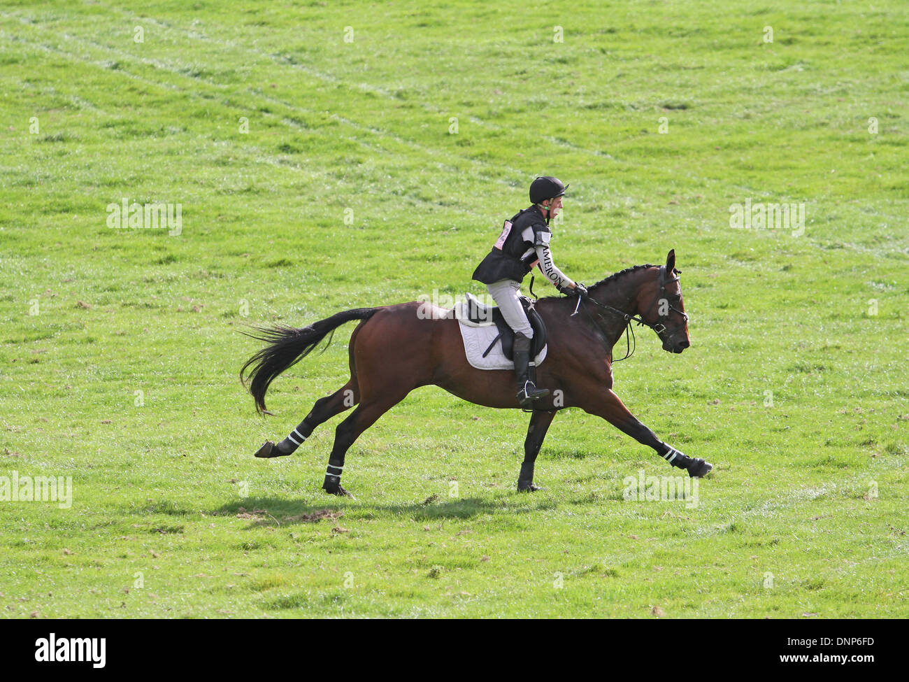 Horse and rider galloping across a field during the cross country phase ...