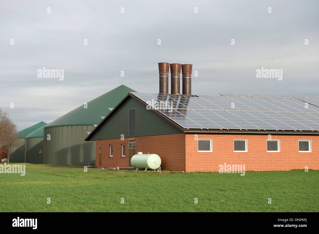 Biogas and solar energy produced on a livestock farm Stock Photo - Alamy