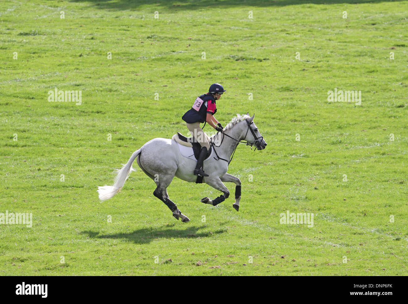 Three day event rider galloping hi-res stock photography and images - Alamy