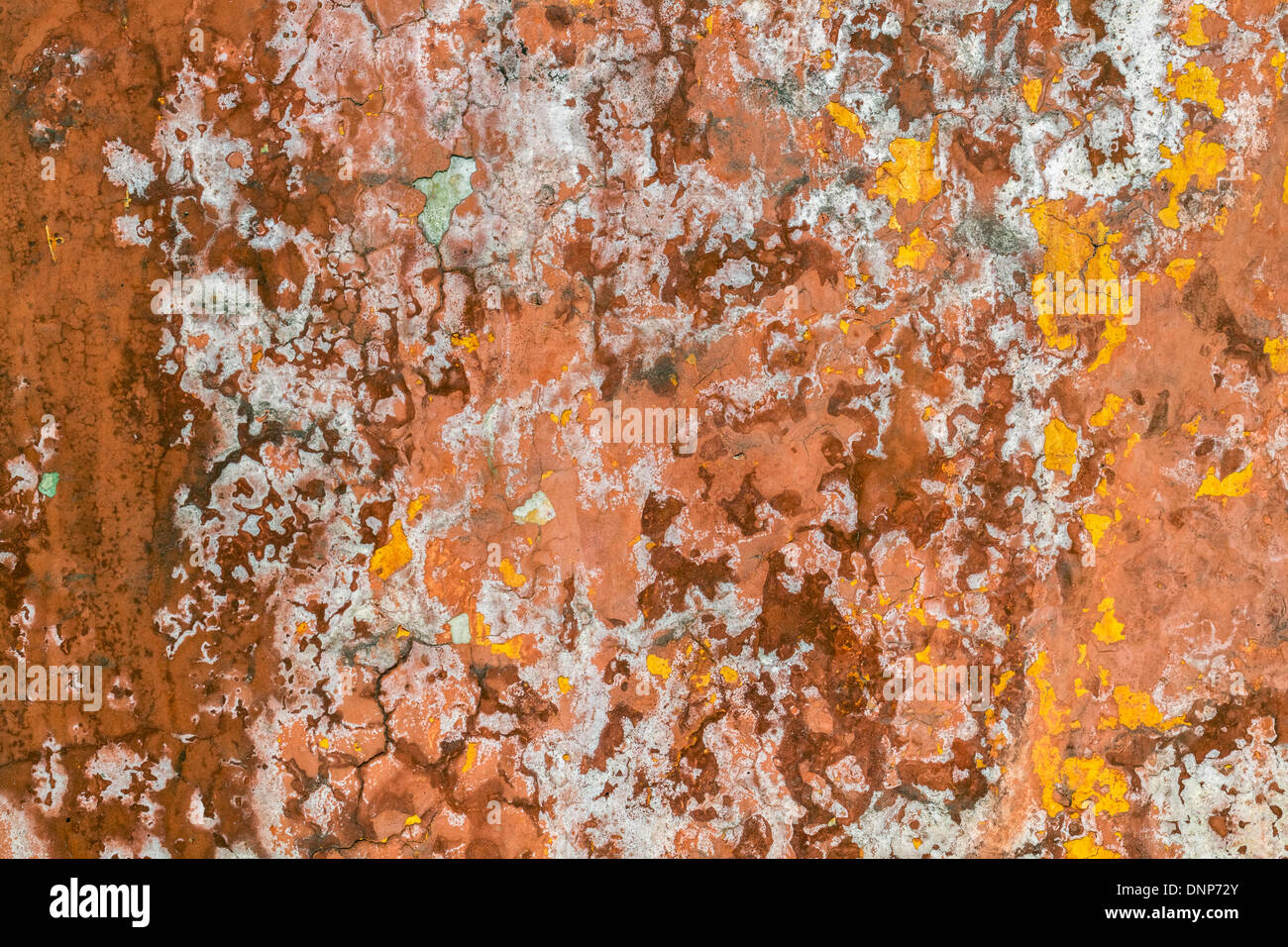 Wall paint jaipur hi-res stock photography and images - Alamy