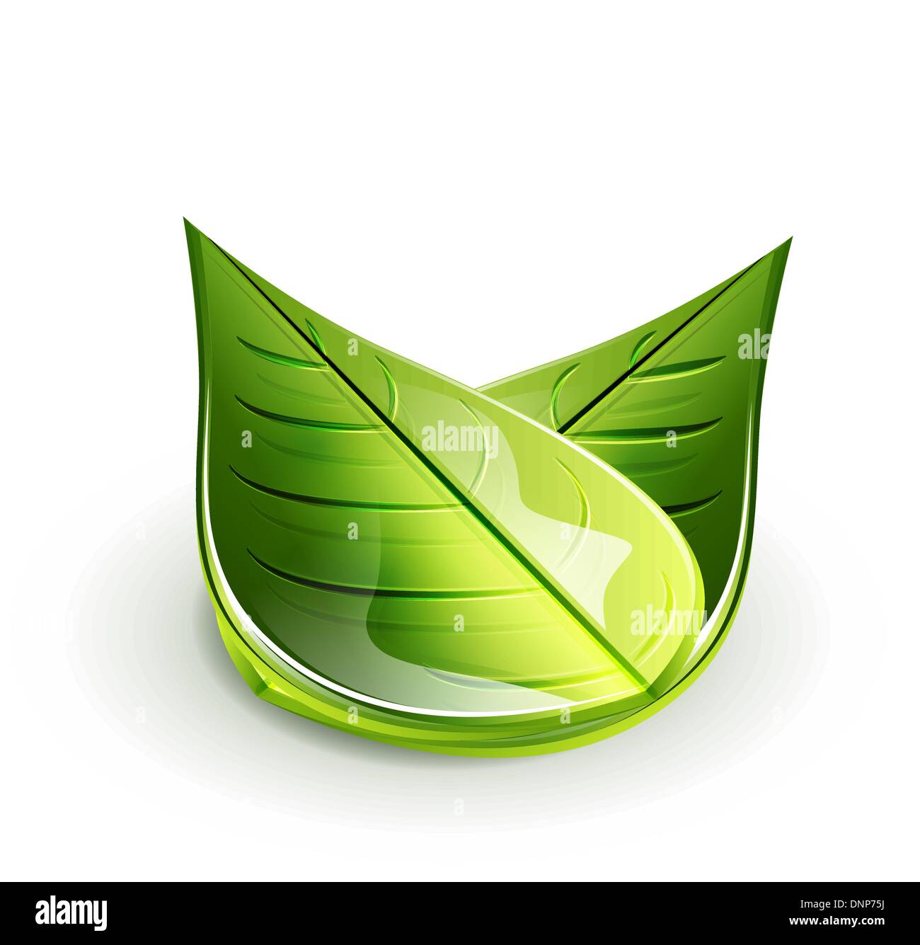 Vector abstract green leaf composition Stock Vector Image & Art - Alamy